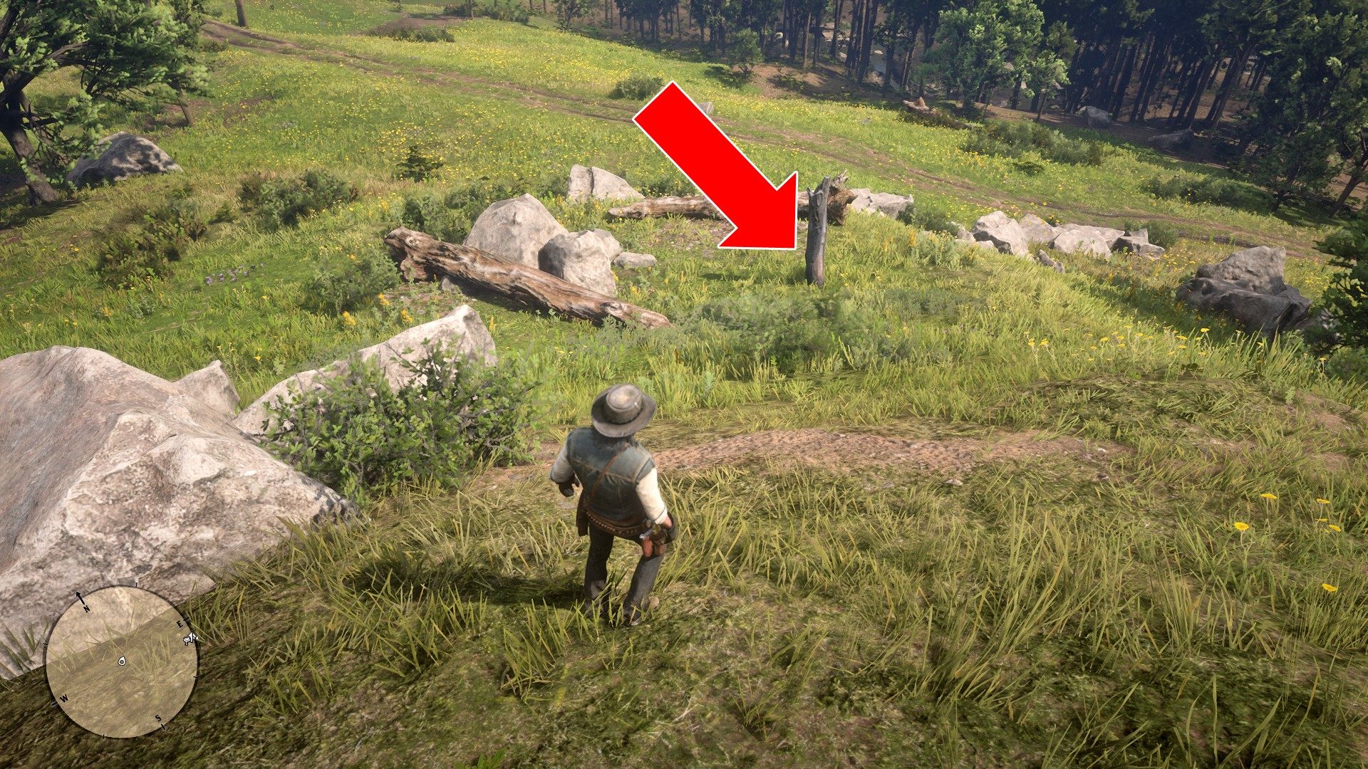 Treasures, Red Dead Redemption 2 Points of interest