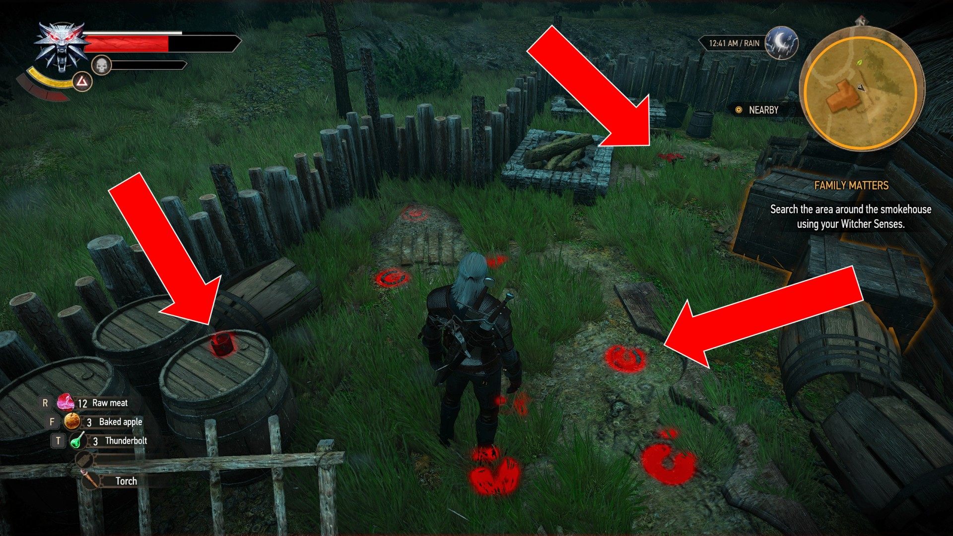 Family Matters, Witcher 3: Wild Hunt Quest