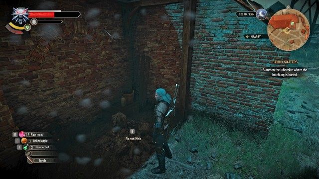 Family Matters, Witcher 3: Wild Hunt Quest