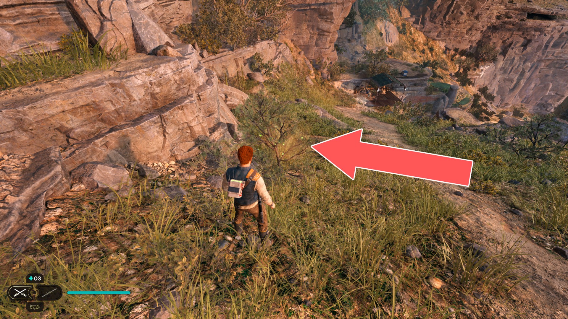 Seed Pods, Star Wars Jedi: Survivor Points of interest