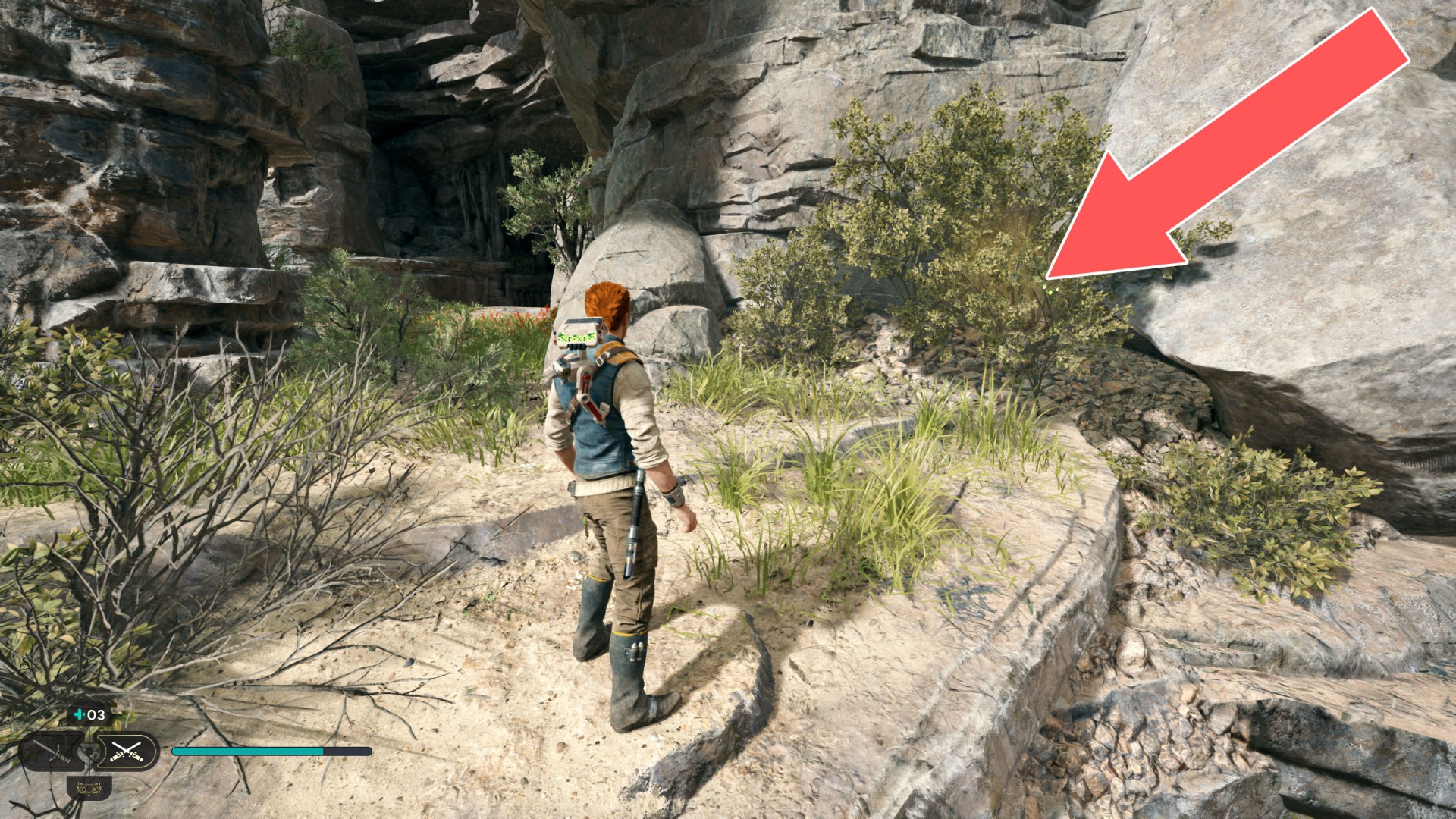 Seed Pods, Star Wars Jedi: Survivor Points of interest